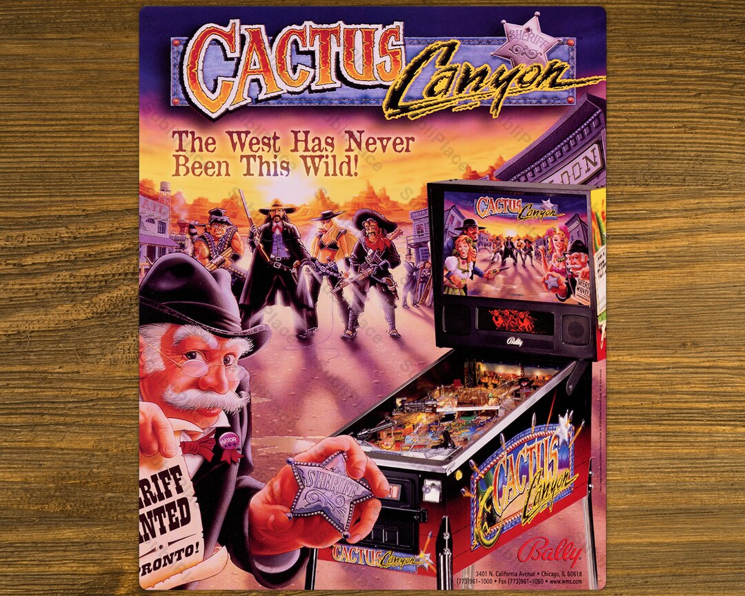 Cactus Canyon Pinball Arcade Game Flyer Promo Art Image on a 8x10 Metal ...
