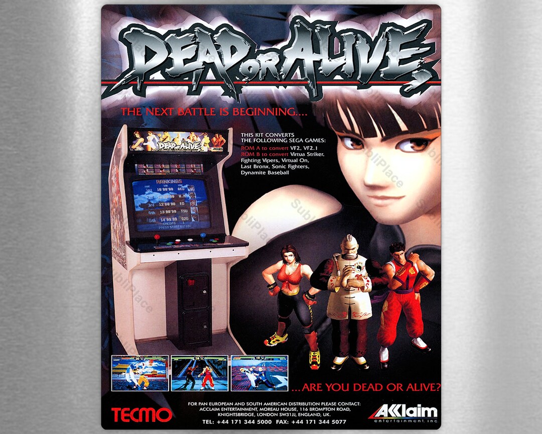 Dead or Alive Arcade Game Flyer Promo Art 8x10 - Etsy
