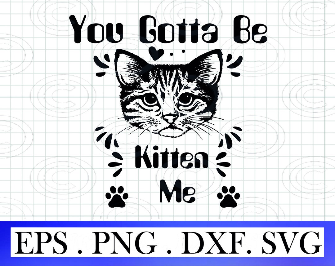 You Gotta Be Kitten Me Svg Png Eps Dxf, Kitten Svg, Cat Svg, Kitty Cat ...