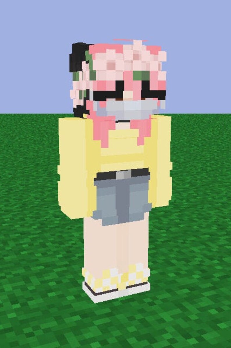 Custom Minecraft Skins - Etsy