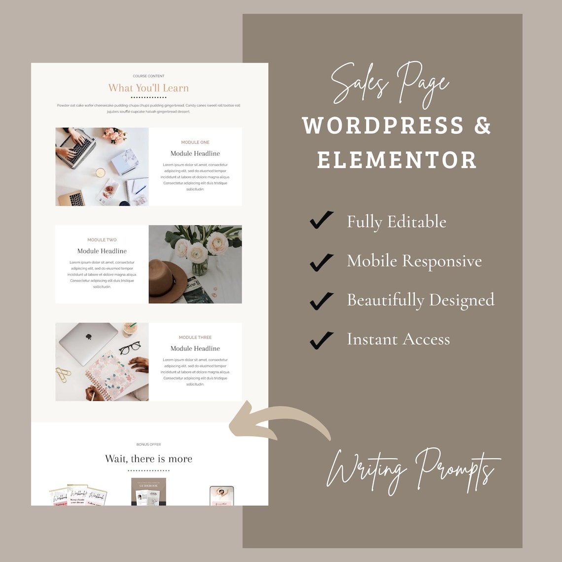 Brooke Sales Page Template: Elementor Wordpress Landing Page - Etsy