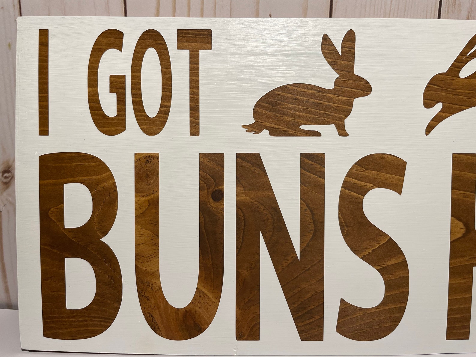 I Got Buns Hun Rabbit Hutch Sign Bunny Lover Sign Bunny | Etsy