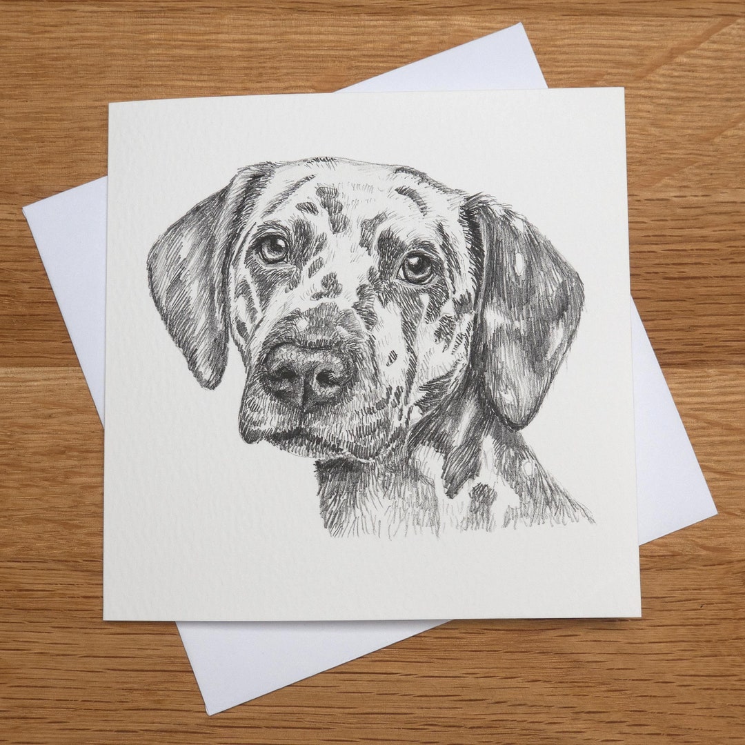 Dalmatian Card Dalmatian Greetings Card Dalmatian Gift - Etsy