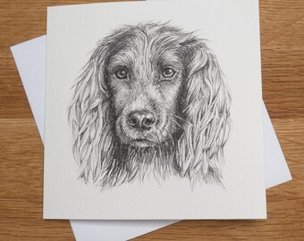 English Springer Spaniel Greeting Card Artist Colour Pencil - Etsy