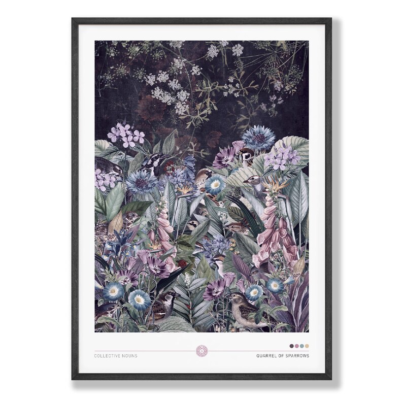 Sparrow Poster. Quarrel of Sparrows Poster. Collective Noun Poster ...