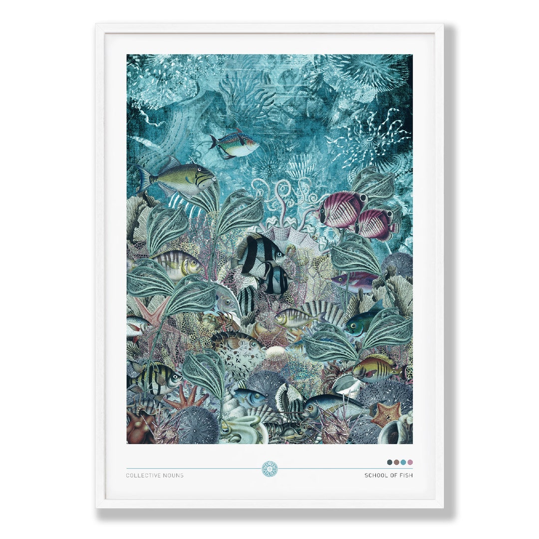 Fish Poster. Shoal of Fish Poster. Collective Noun Poster. Reef Fish ...