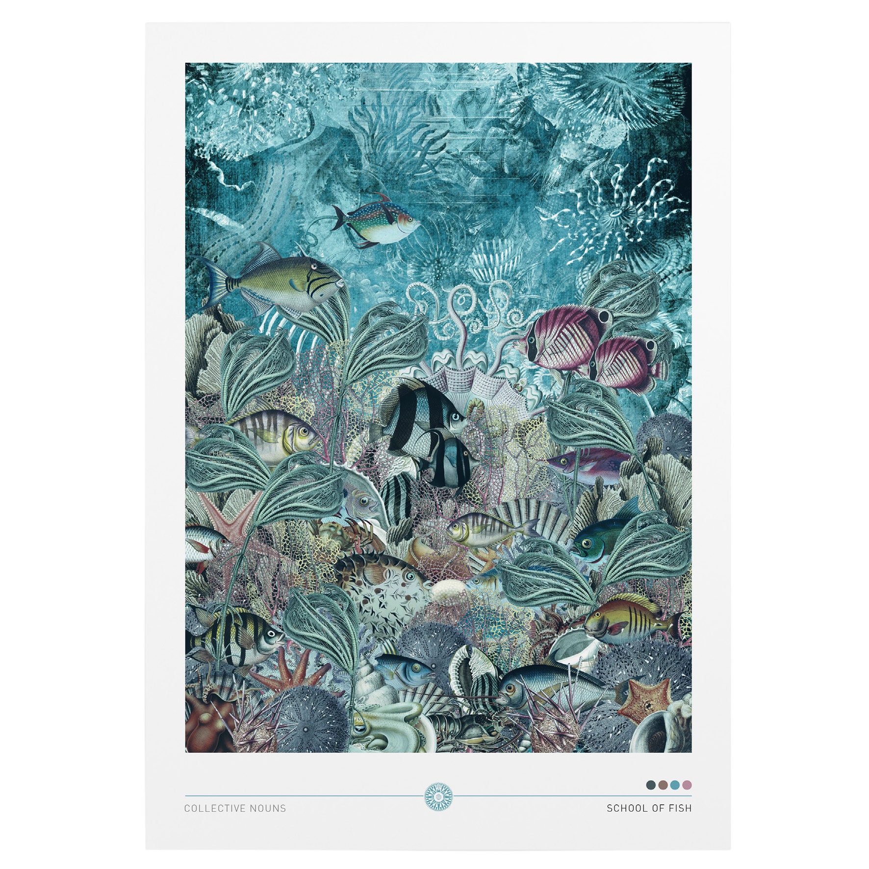 Fish Poster. Shoal of Fish Poster. Collective Noun Poster. Reef Fish ...
