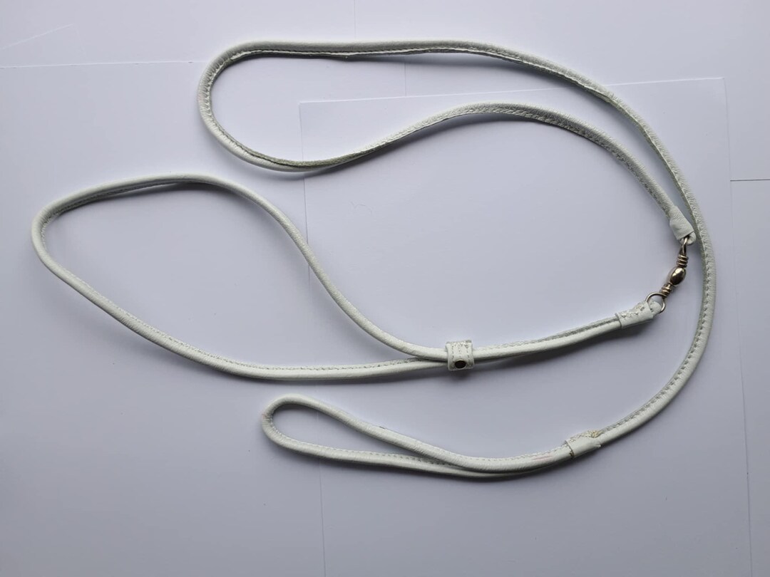 White Rolled Leather Dog Show Loop Lead - Etsy