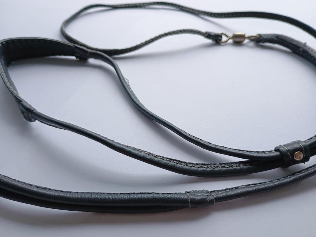 Grey Rolled Leather Dog Show Loop Lead With Kindness Pad - Etsy