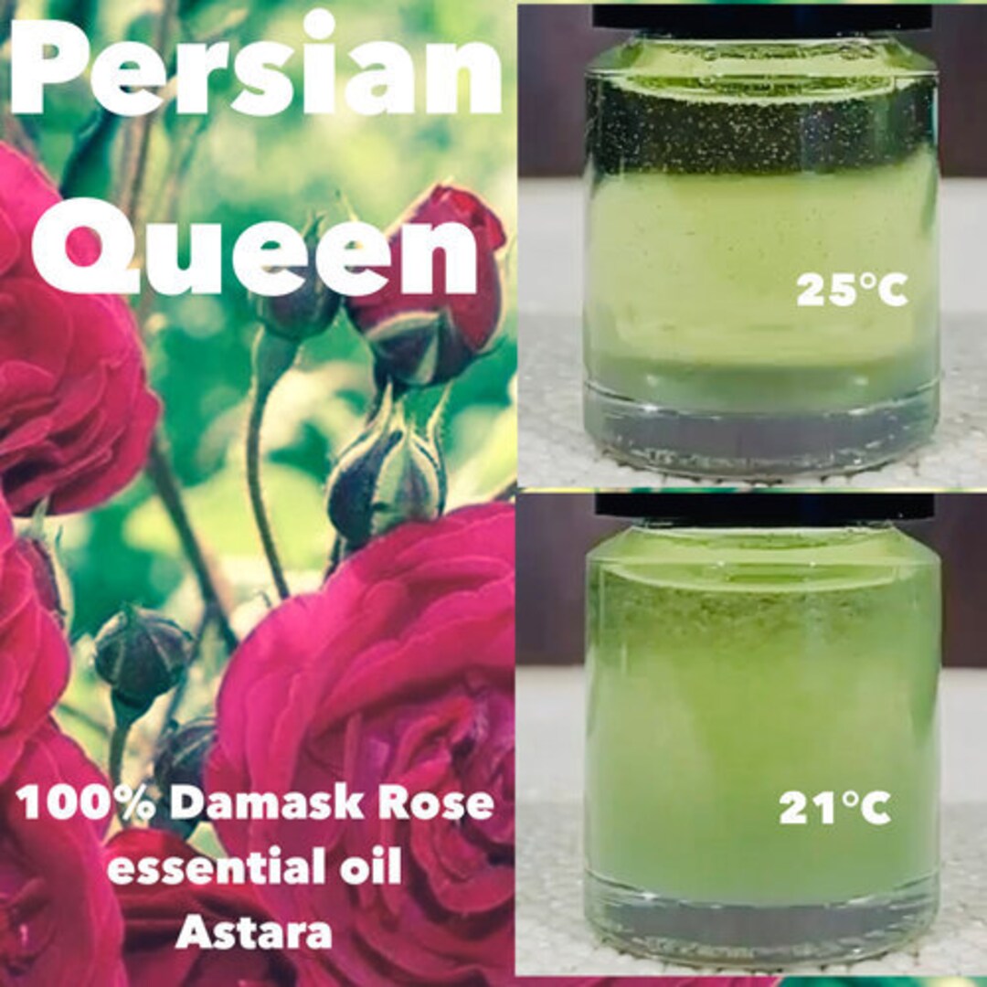 Persian Queen 100% Damascena Rose Essential Oil Astara, Persia - Etsy