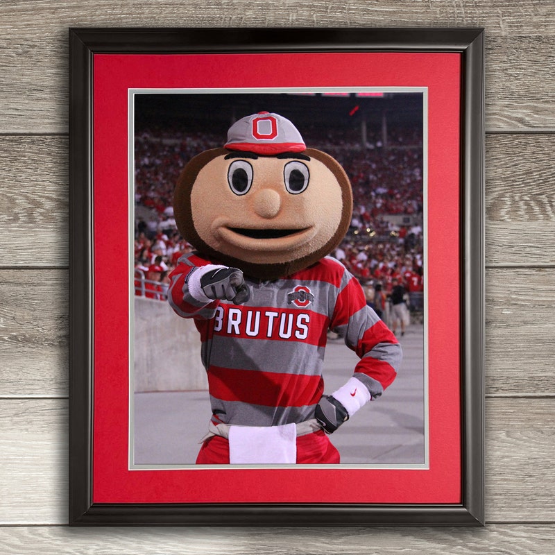 Brutus Buckeye Svg - Etsy