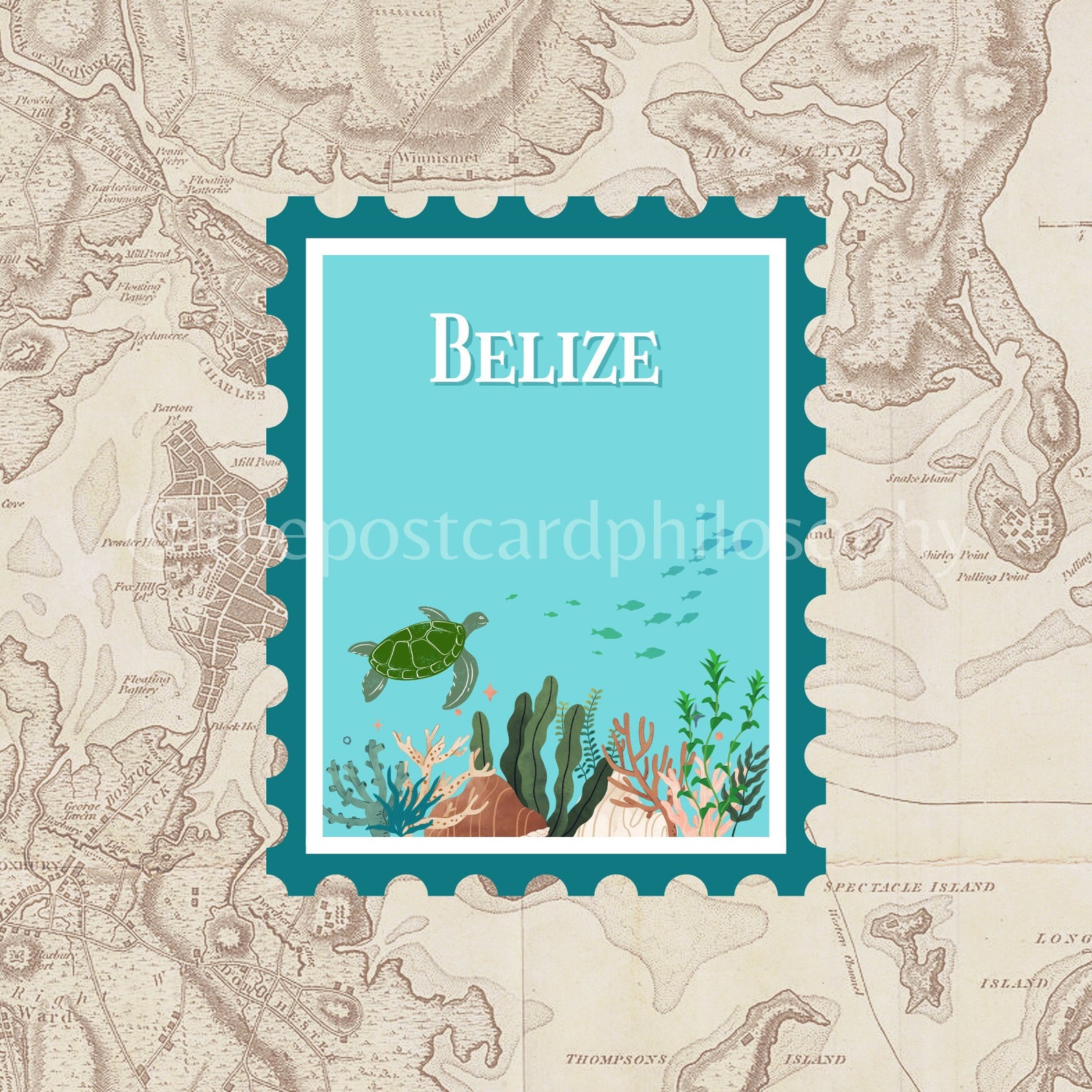 Belize Sticker Stamp - Etsy