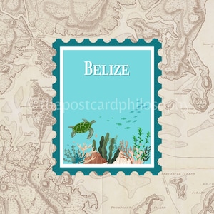 Belize Sticker Stamp - Etsy