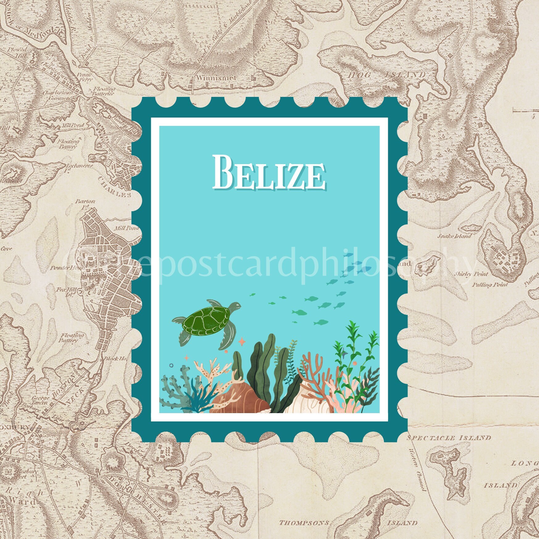 Belize Sticker Stamp - Etsy