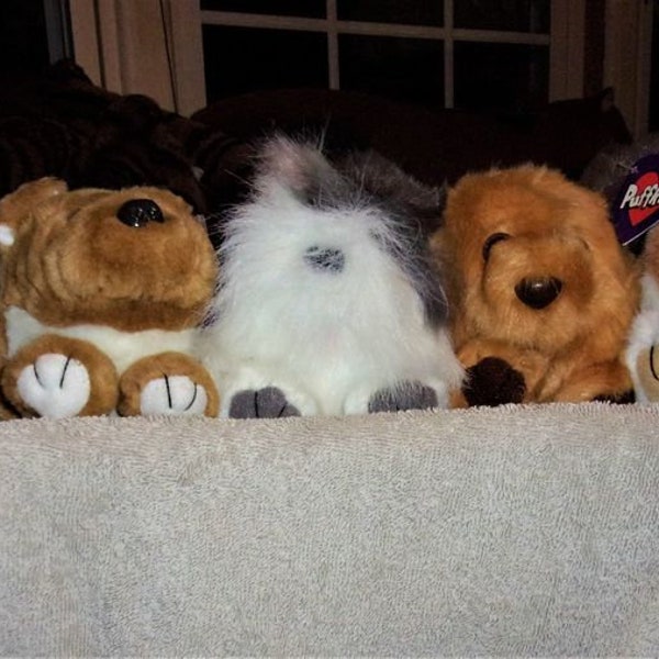 Rare Puffkins - Etsy