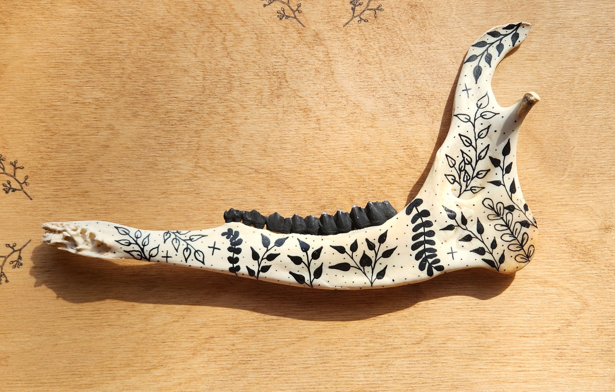 Painted Deer Jaw Bone, Altar Decor, Oddities, Mandibles, Witchcraft ...