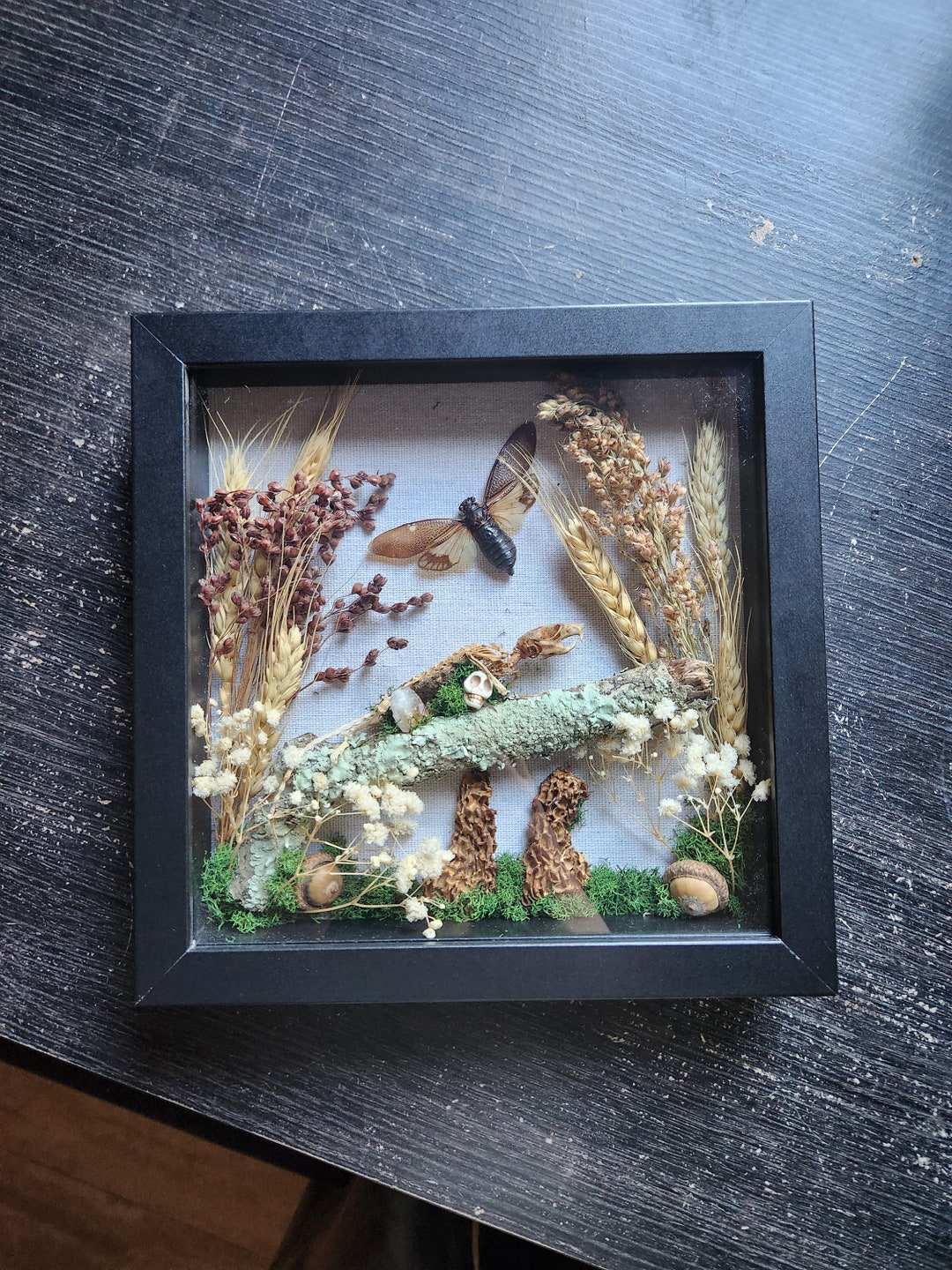 Mouse Skeleton Shadow Box - Etsy