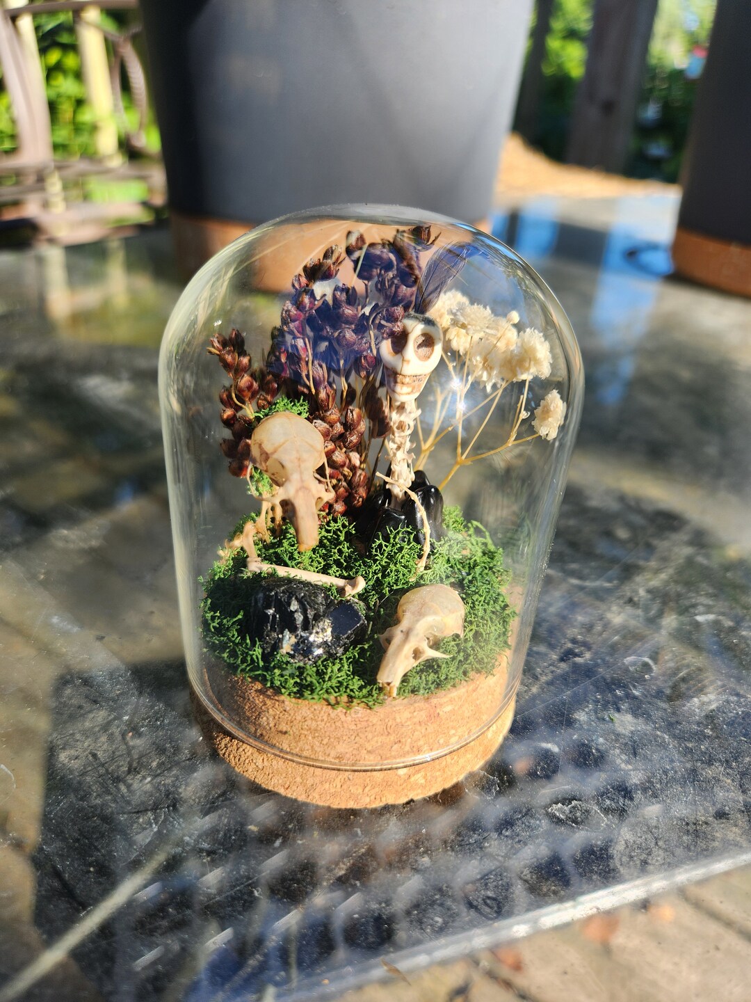 Mouse Oddity Dome, Mouse Skull Display, Mini Diorama Shrine, Skull ...