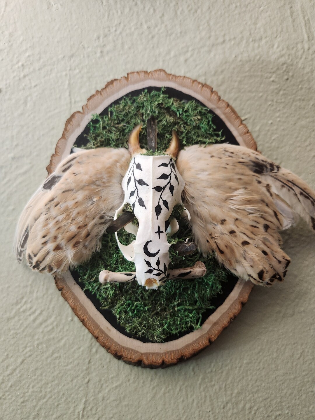 Demon Skull, Winged Mink, Animal Skull Display, Baby Baphomet ...