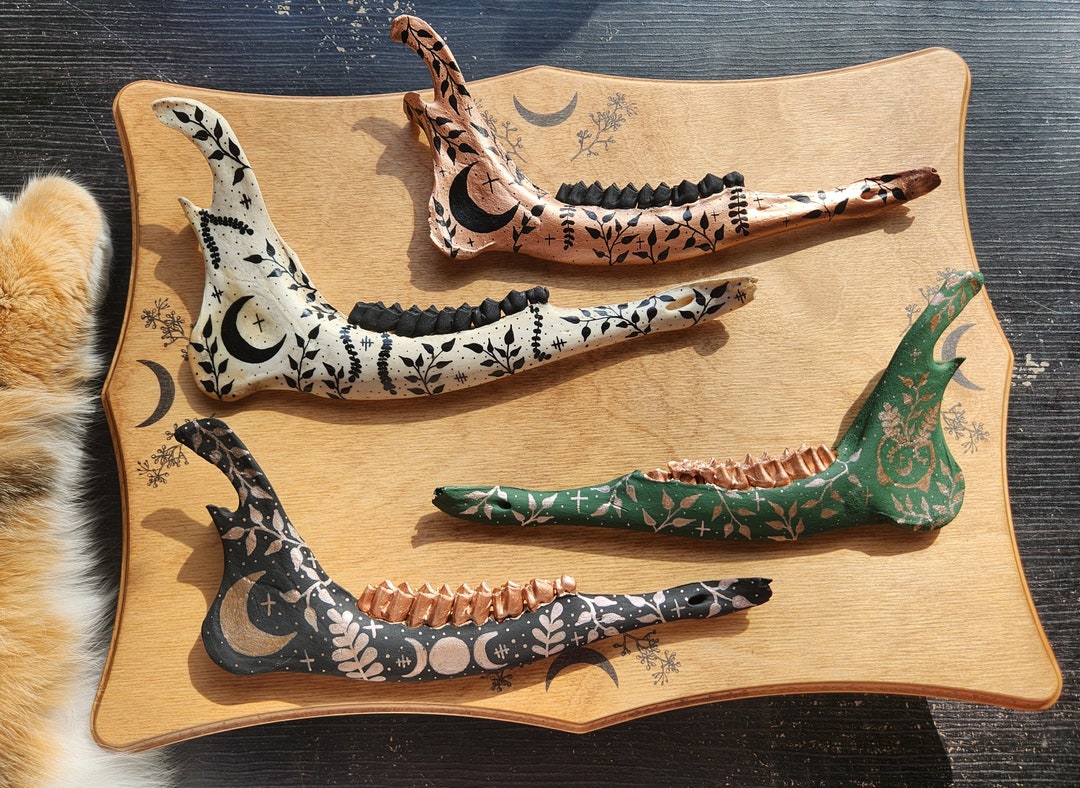 Painted Deer Jaw Bone, Altar Decor, Oddities, Mandibles, Witchcraft ...