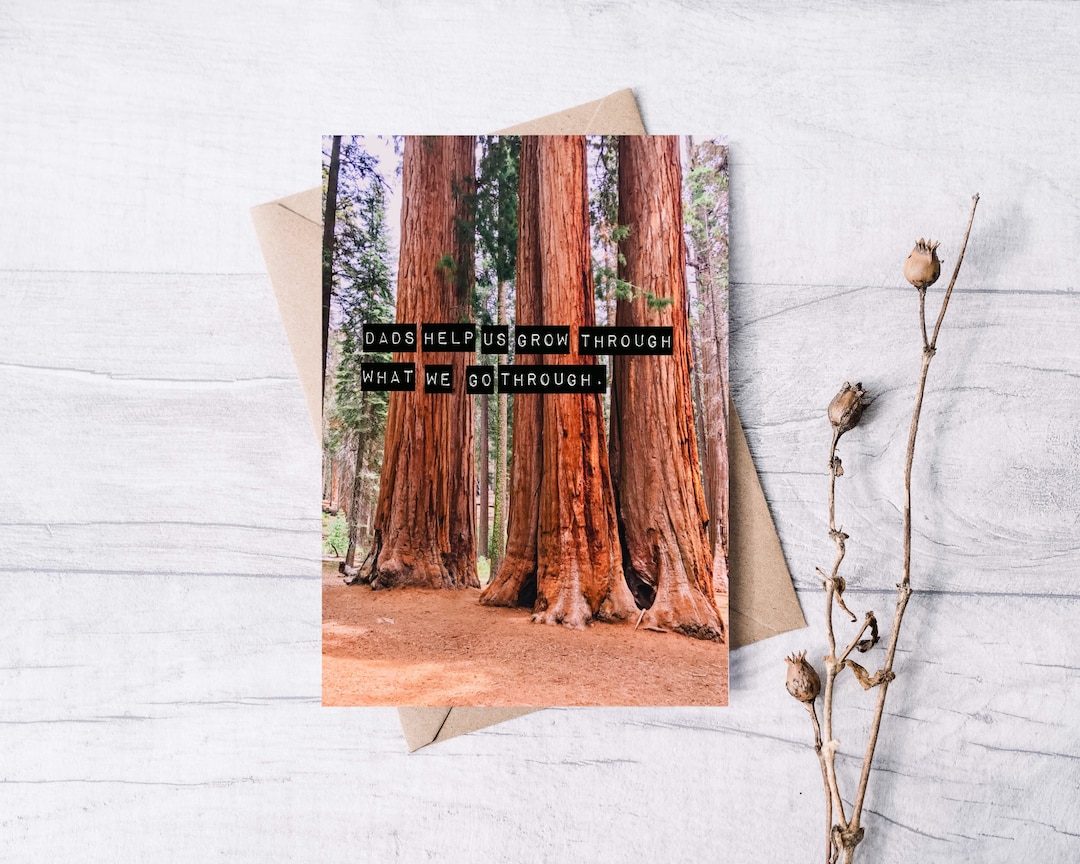 Birthday Card for Dad: Redwood Forest Photo, Thank You Card - Etsy