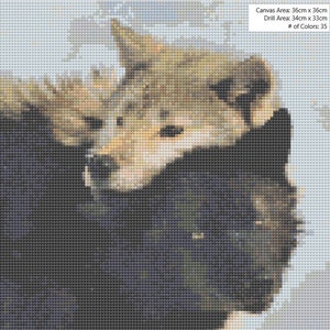 Wolves - Full Drill Diamond Painting Kit - Etsy