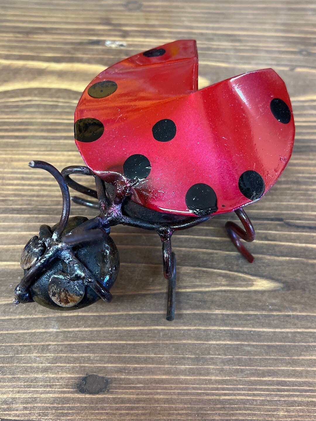 River Rock Ladybug - Etsy