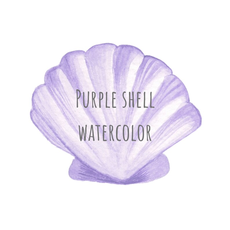 Watercolor Seashell Digital, Ocean Shell, Instant Download, PNG ...