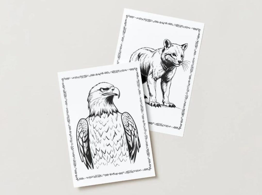 Animal Kingdom Coloring Pages - Line Art - Animals for Adults & Teens ...