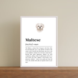 Maltese Definition Print - A4 Size, Dog Lover Gift, Canine Art, Pet ...