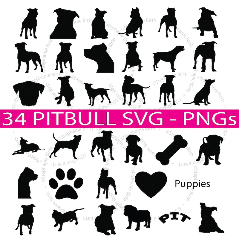Pitbull Svg - Etsy