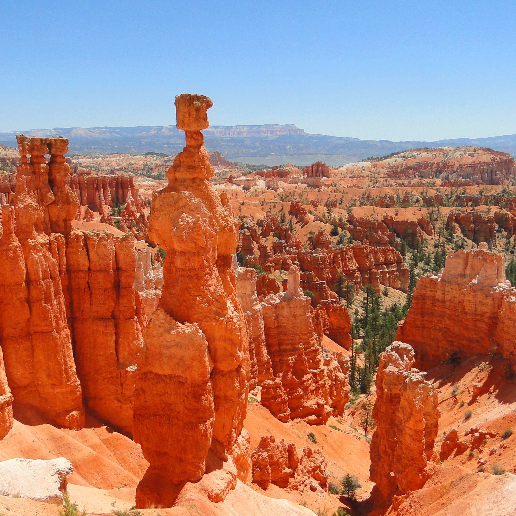 Utah National Parks Shirt! the Mighty 5! Reppin' Arches, Bryce Canyon ...
