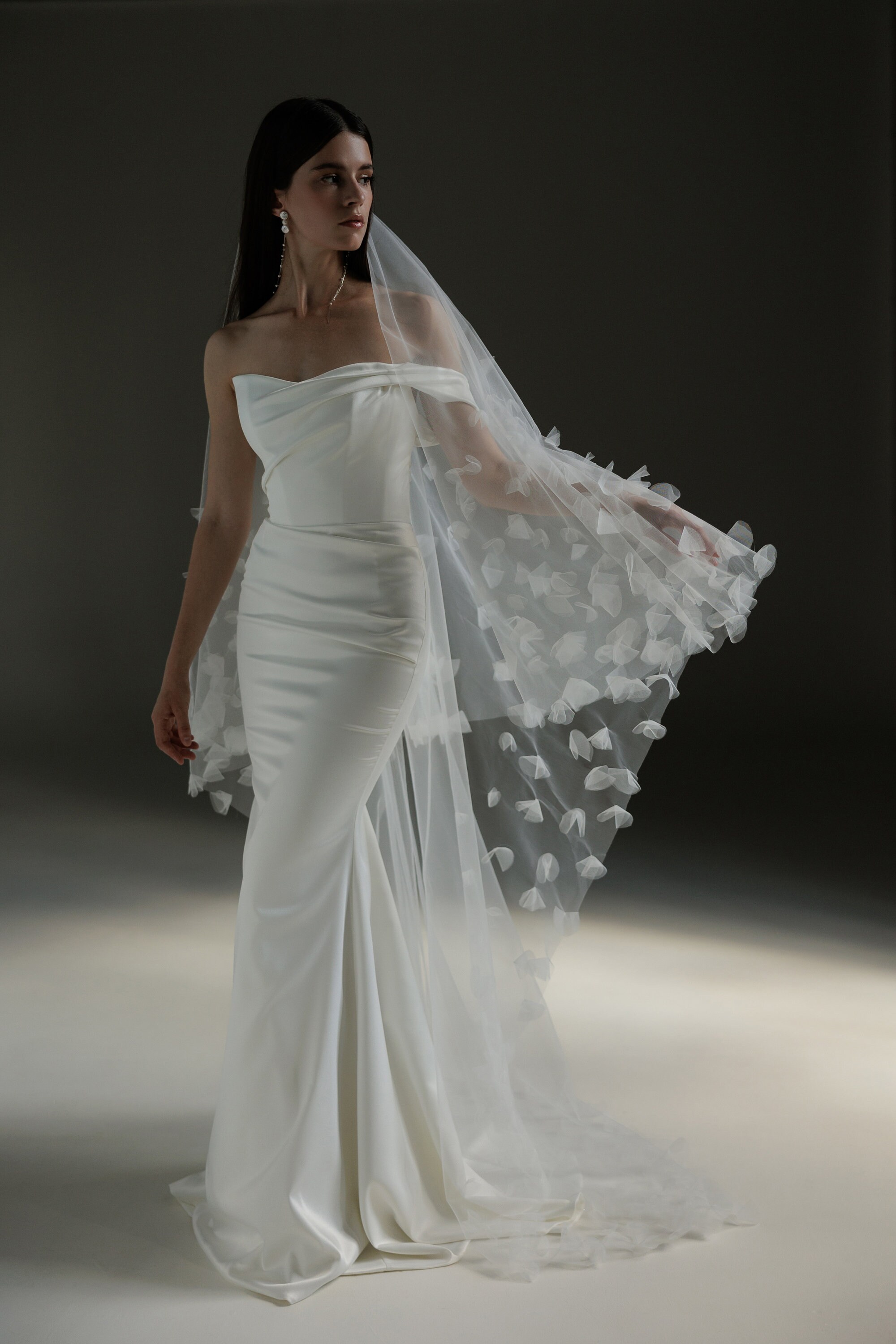 Wedding Veil, Modern Wedding Veil, Long Wedding Veil With Decor, Long ...