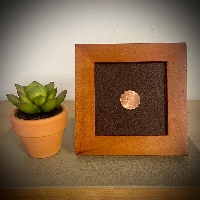 Coin Display Case - Etsy