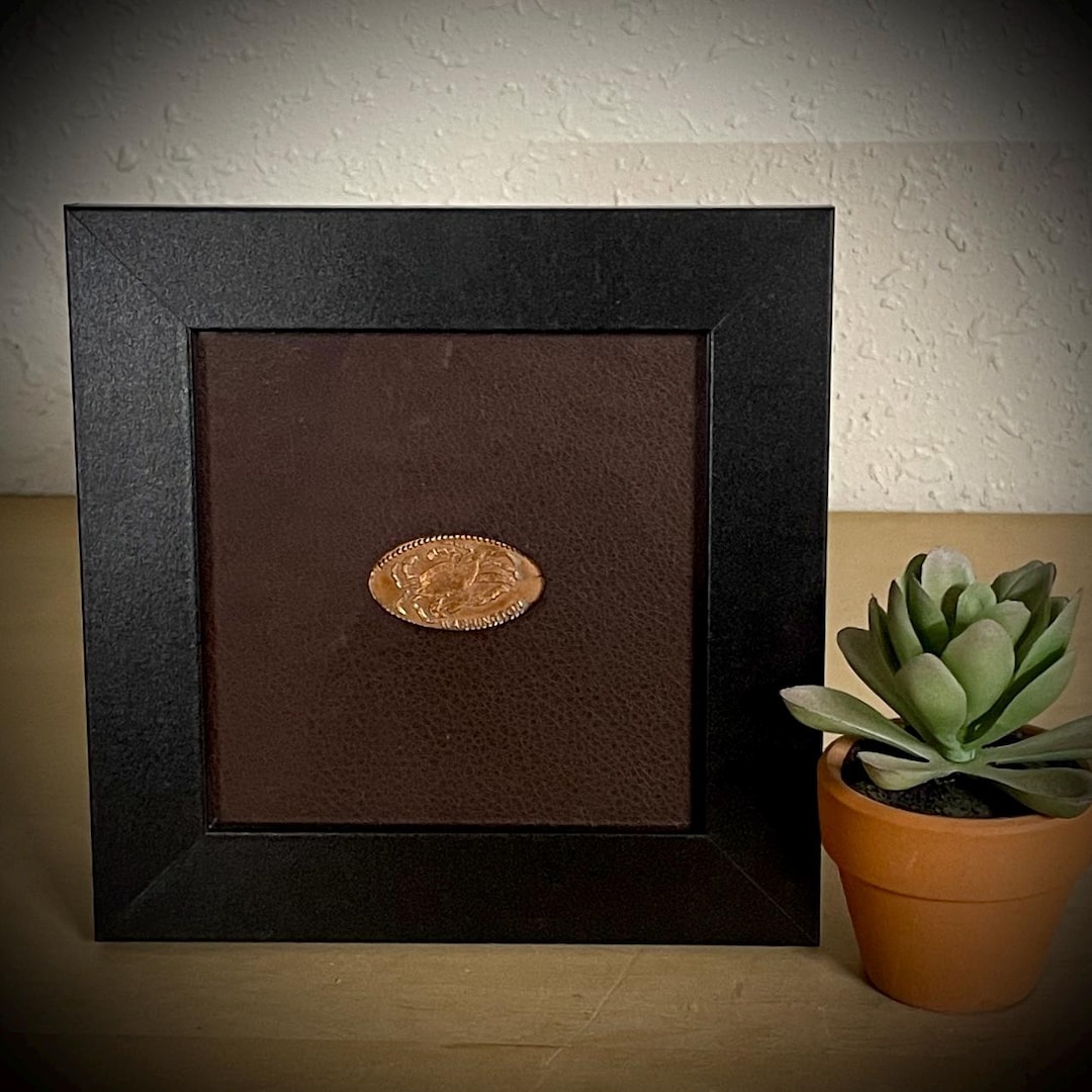 Pressed Penny Display | Squished Penny Souvenir | Smashed Penny Frame ...