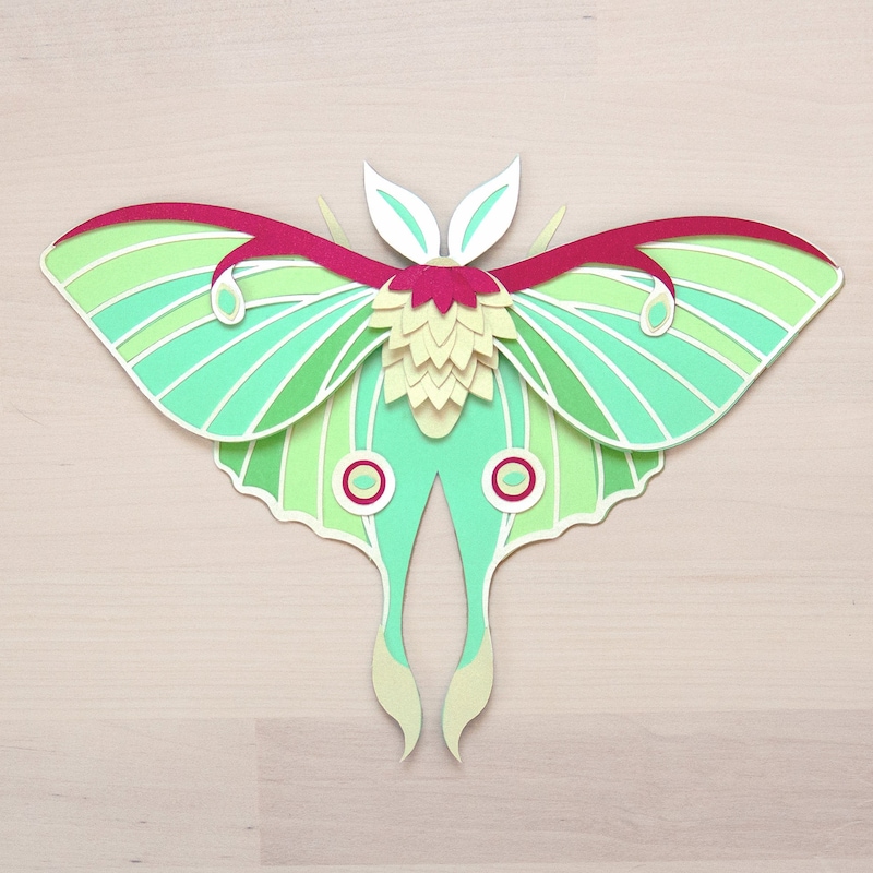Luna Moth Art - Etsy