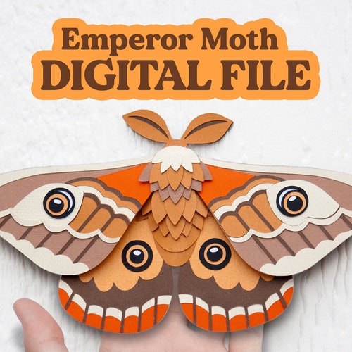 Papercraft 3D Moth Paper Atlas Moth Paper Bug Insect DIY - Etsy