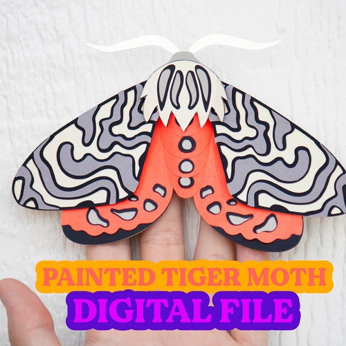 Papercraft 3D Moth Paper Atlas Moth Paper Bug Insect DIY - Etsy