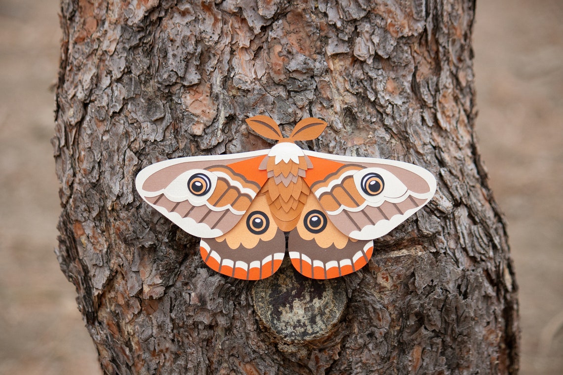 Papercraft 3D Moth | Paper Emperor Moth | Paper Bug Insect | DIY ...