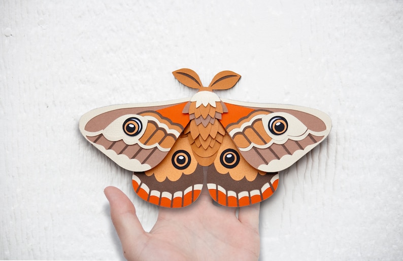 Digital Five Moth BUNDLE Papercraft 3D Moth DIY Cardstock - Etsy