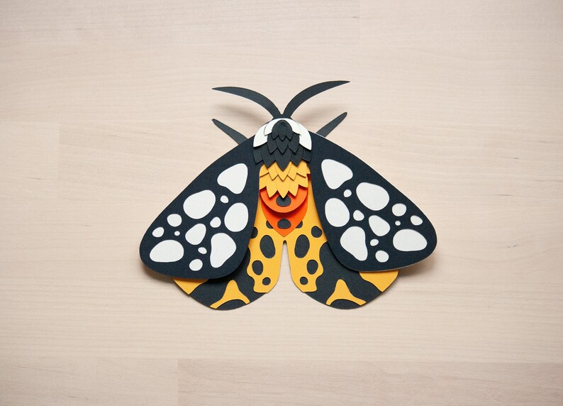 Digital Tiger Moth BUNDLE Papercraft 3D Moth DIY Cardstock - Etsy