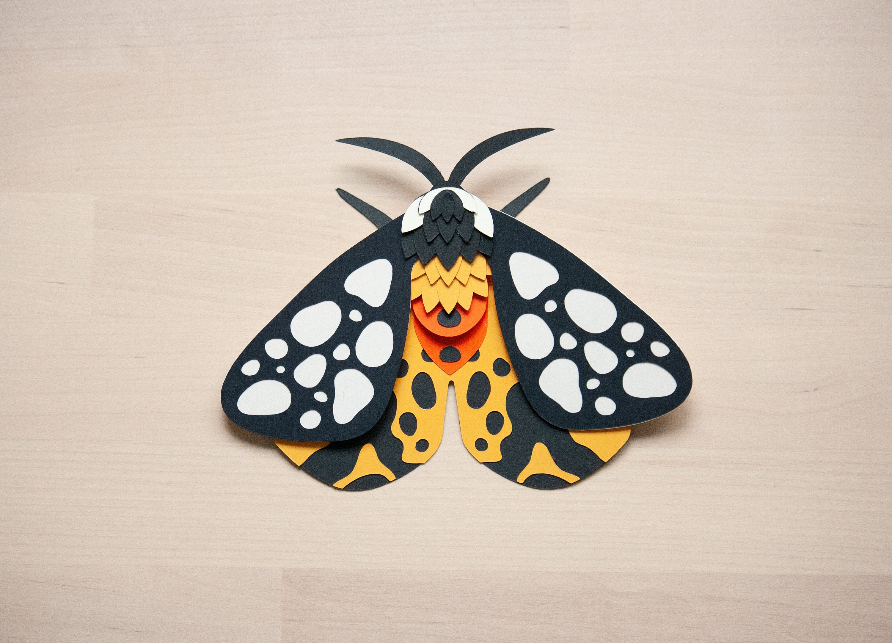Digital Tiger Moth BUNDLE Papercraft 3D Moth DIY Cardstock - Etsy Australia