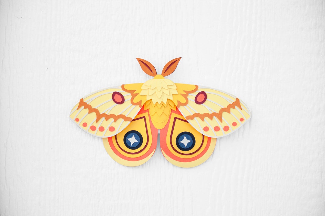 Papercraft 3D Moth | Paper Male Io Moth | Paper Bug Insect | DIY ...