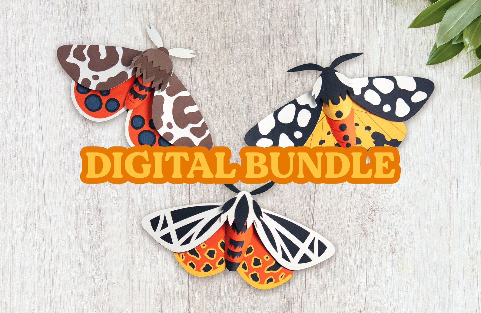 Digital Tiger Moth BUNDLE Papercraft 3D Moth DIY Cardstock | Etsy