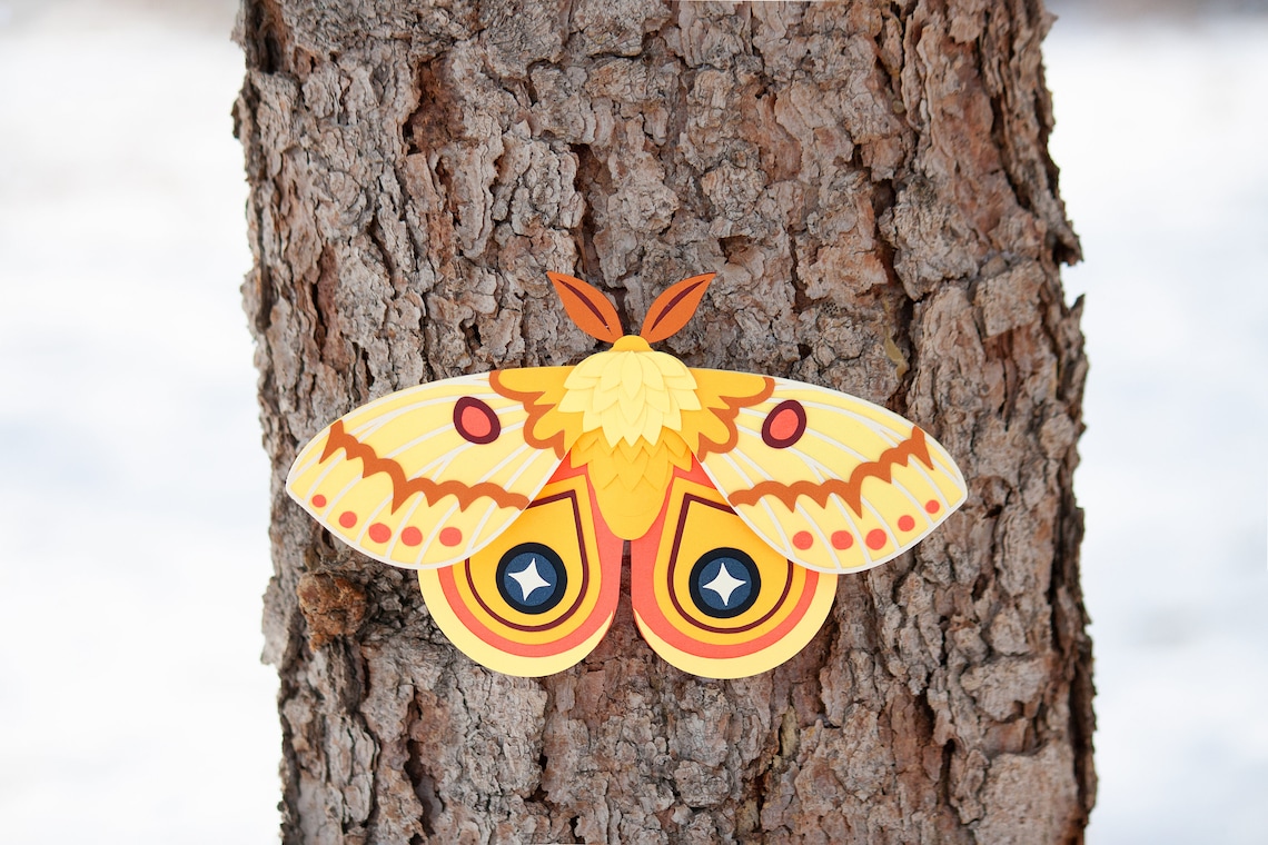 Papercraft 3D Moth Paper Male Io Moth Paper Bug Insect | Etsy
