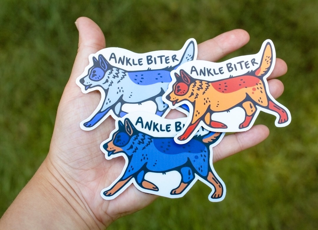 Blue Heeler Red Heeler Sticker, Cattle Dog Sticker - Etsy