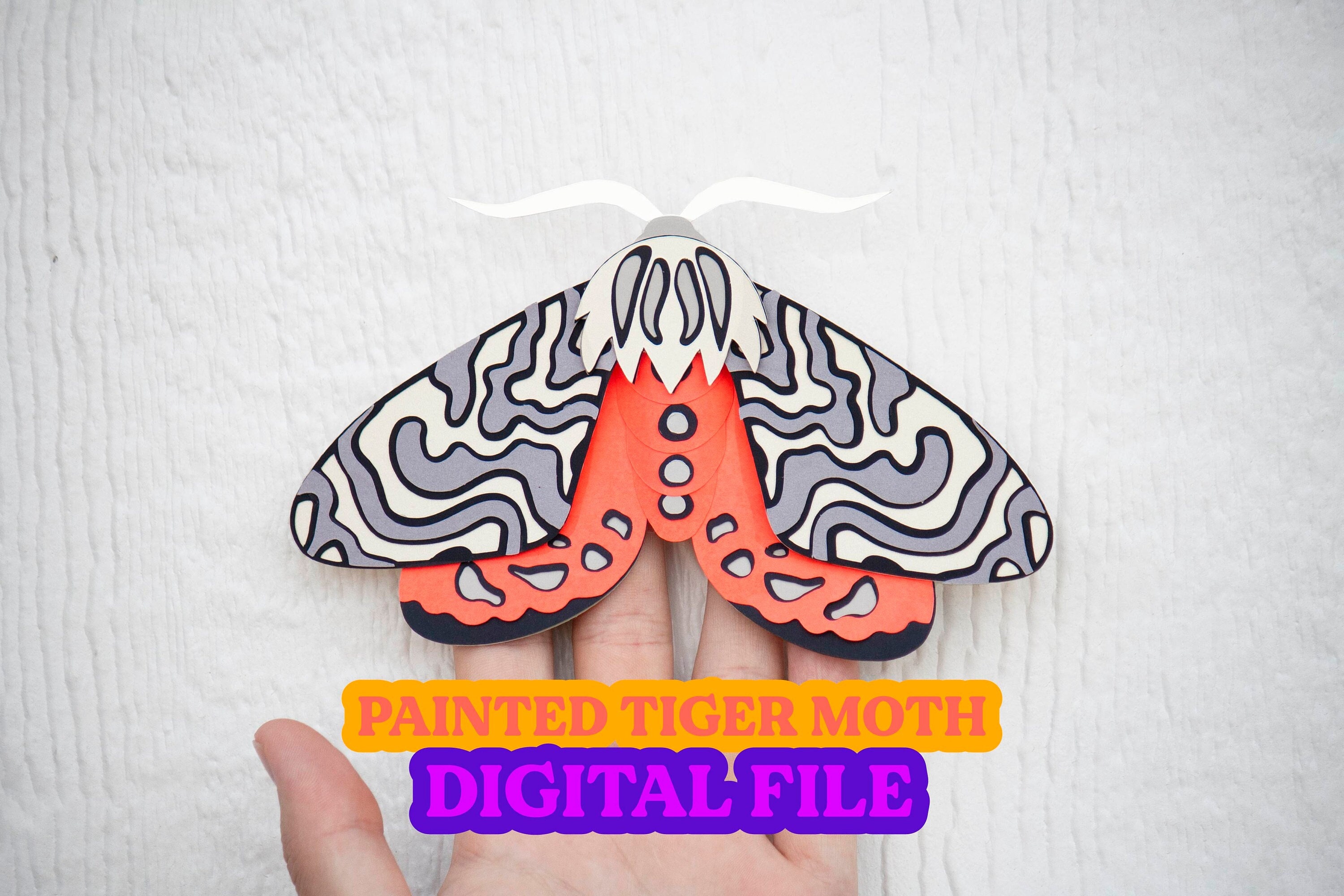 Papercraft 3D Moth Paper Painted Tiger Moth Paper Bug - Etsy UK