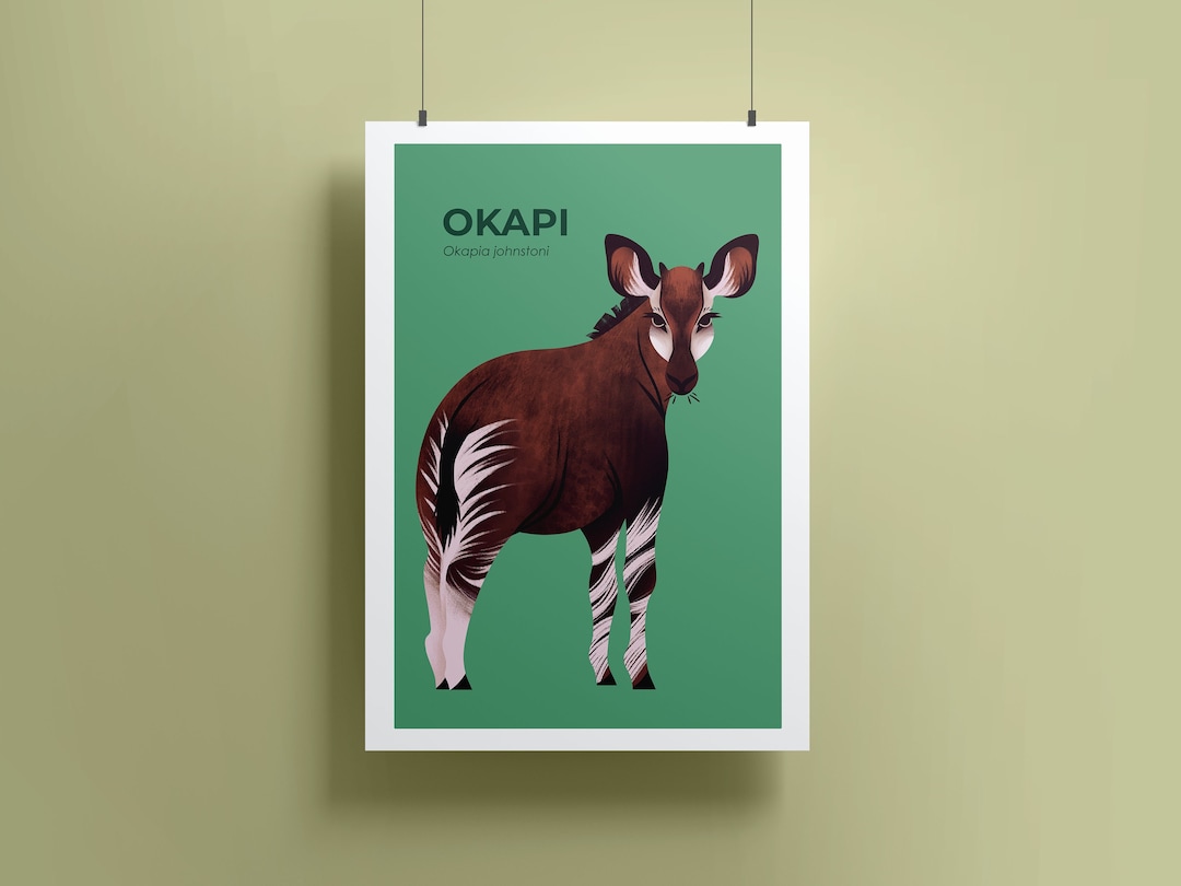 Okapi Educational Art | Zoo Animal Art | Unframed - Animal Illustration ...