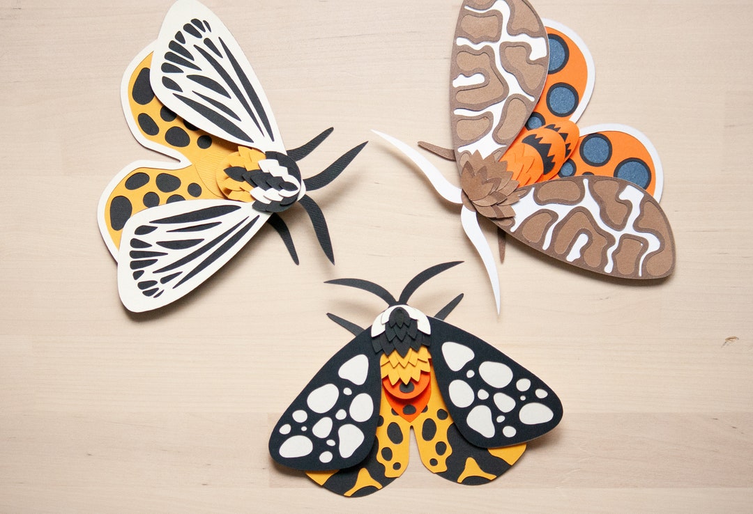Digital Tiger Moth BUNDLE, Papercraft 3D Moth, DIY Cardstock Moth ...