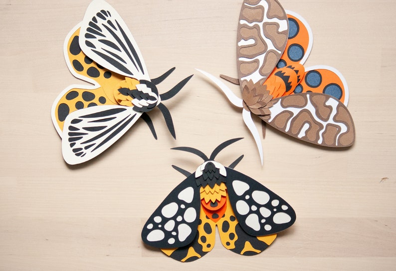 Digital Tiger Moth BUNDLE, Papercraft 3D Moth, DIY Cardstock Moth ...